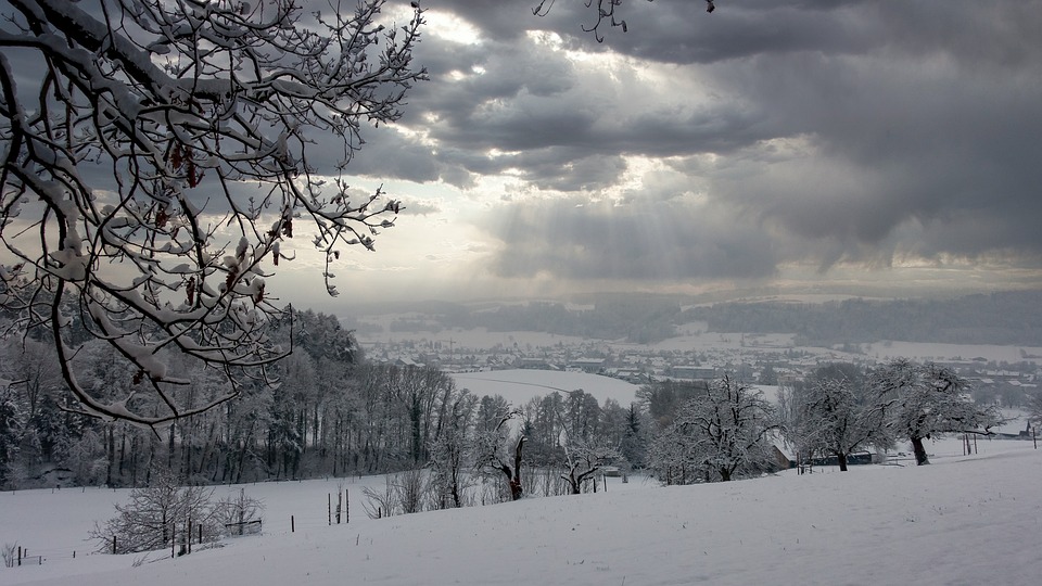 Snow Landscape Winter - Free photo on Pixabay
