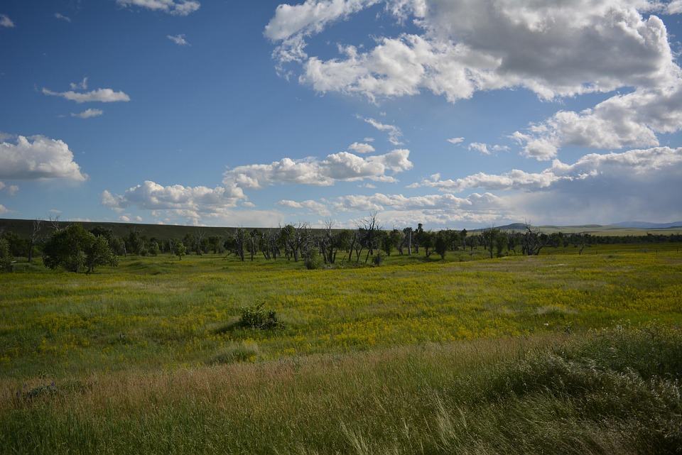 Montana Northern Plains - Free photo on Pixabay - Pixabay