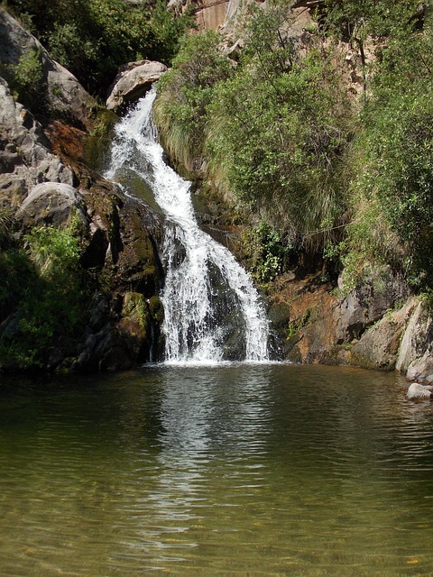Arroyo Naturaleza Paisaje - Foto gratis en Pixabay - Pixabay