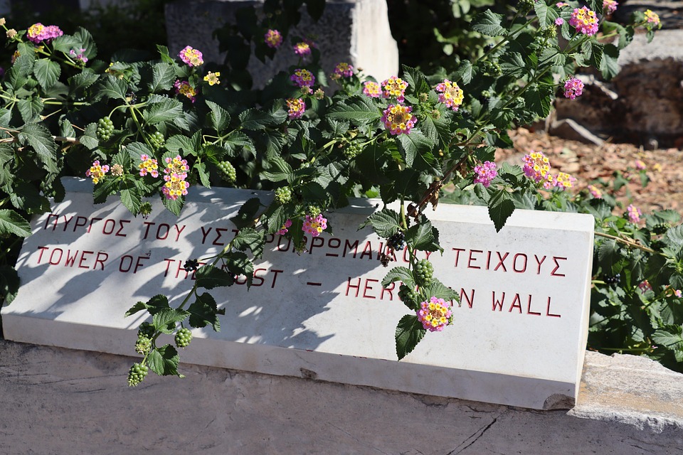 Ancient Agora Athens Flowers - Free photo on Pixabay - Pixabay