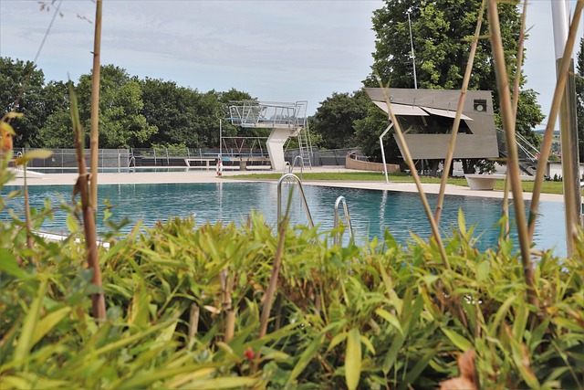 100+ kostenlose Freibad und Schwimmbad-Bilder - Pixabay
