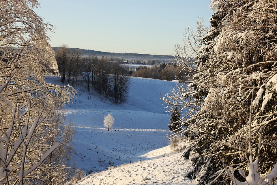 Winter Landschaft Schnee - Kostenloses Foto auf Pixabay - Pixabay
