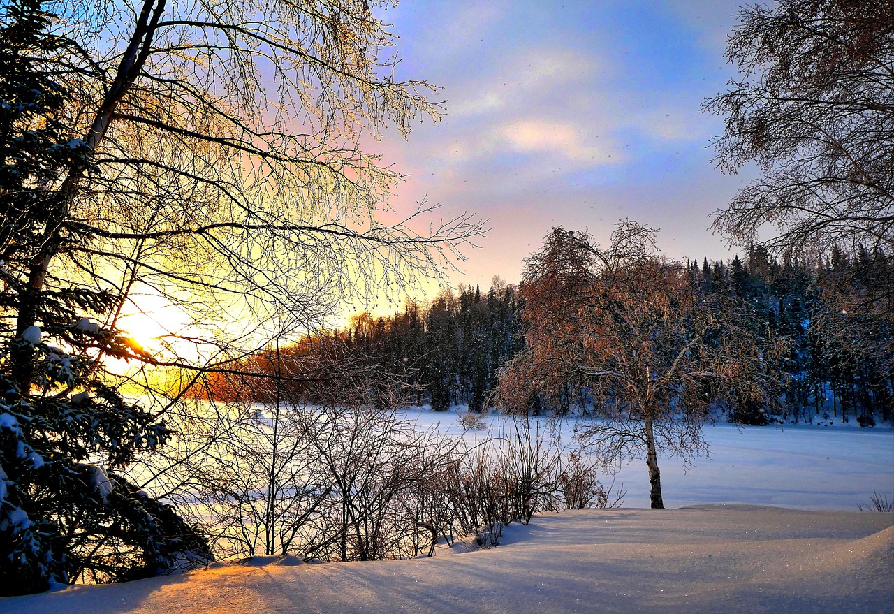 Paisagem Natureza Inverno - Foto gratuita no Pixabay - Pixabay