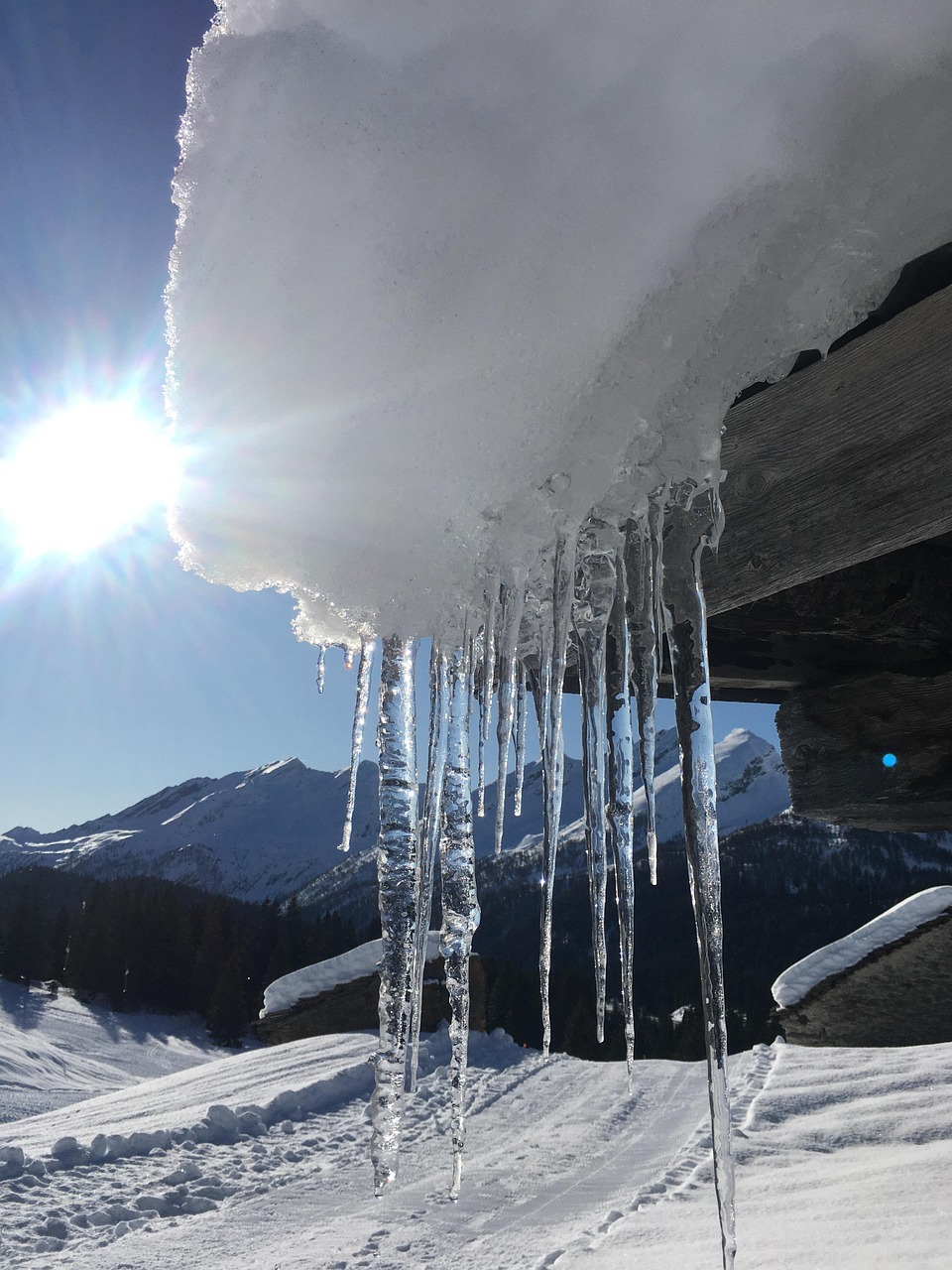 La Glace Neige - Photo gratuite sur Pixabay - Pixabay