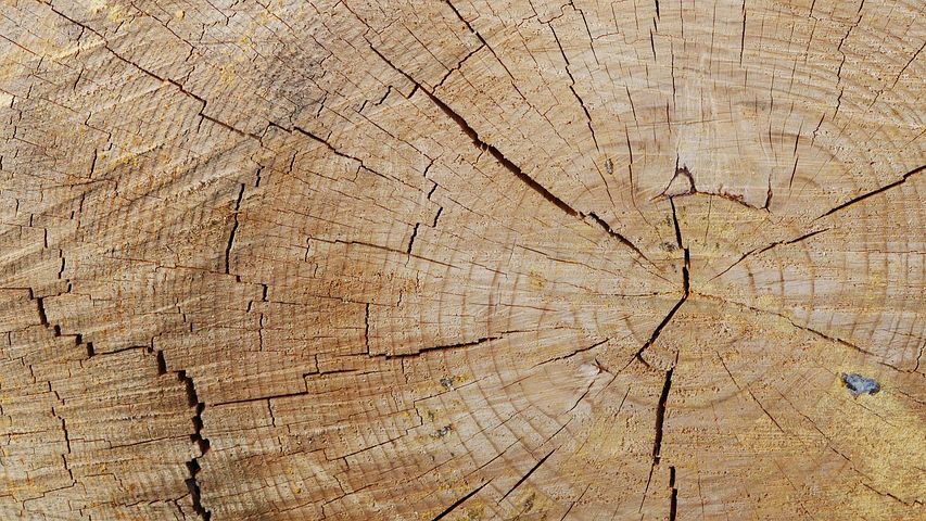 200+ kostenlose Holzmaserung und Holz-Bilder - Pixabay