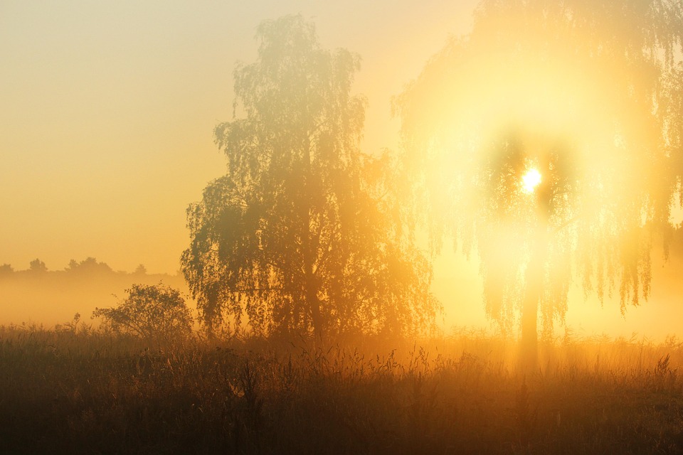 Sunrise Morning Mist Mood - Free photo on Pixabay - Pixabay