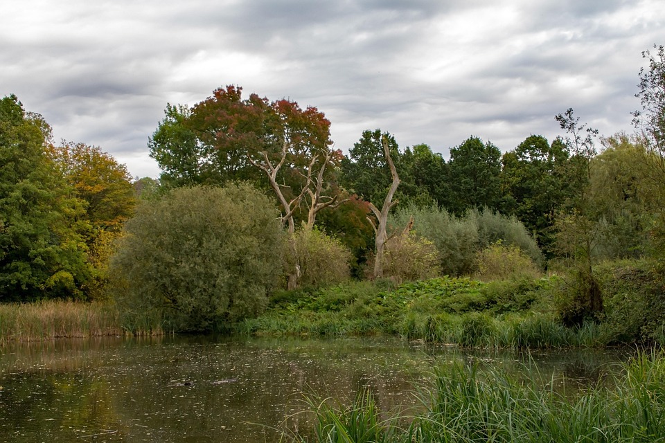 Nature Automne Paysage - Photo gratuite sur Pixabay - Pixabay
