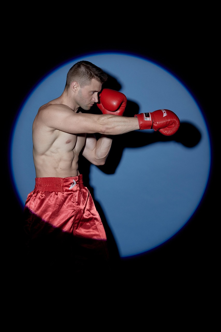Boxing Ufc Kickboxing - Free photo on Pixabay - Pixabay