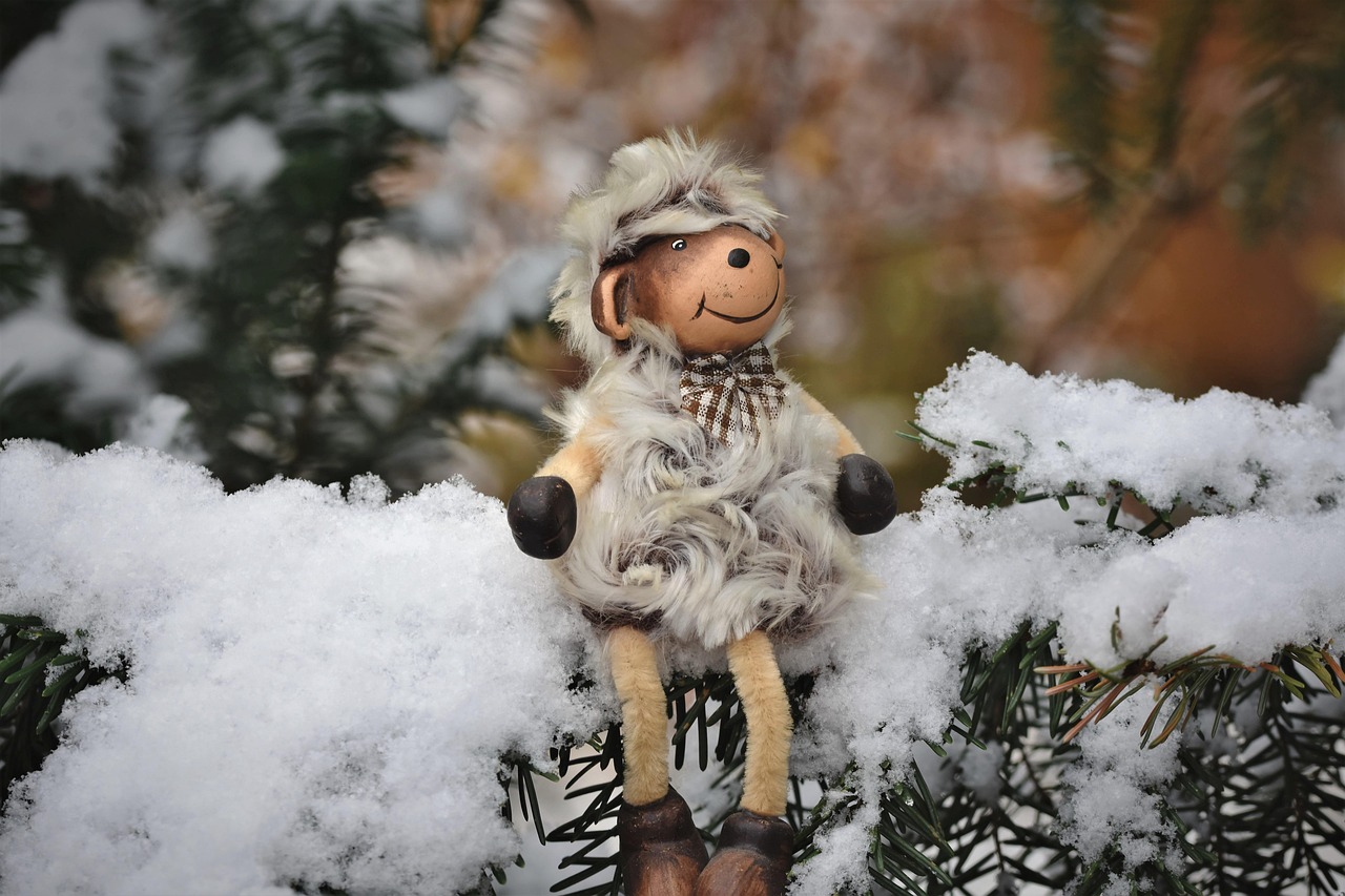 400+ kostenlose Christbaum & Weihnachtsbaum Fotos - Pixabay