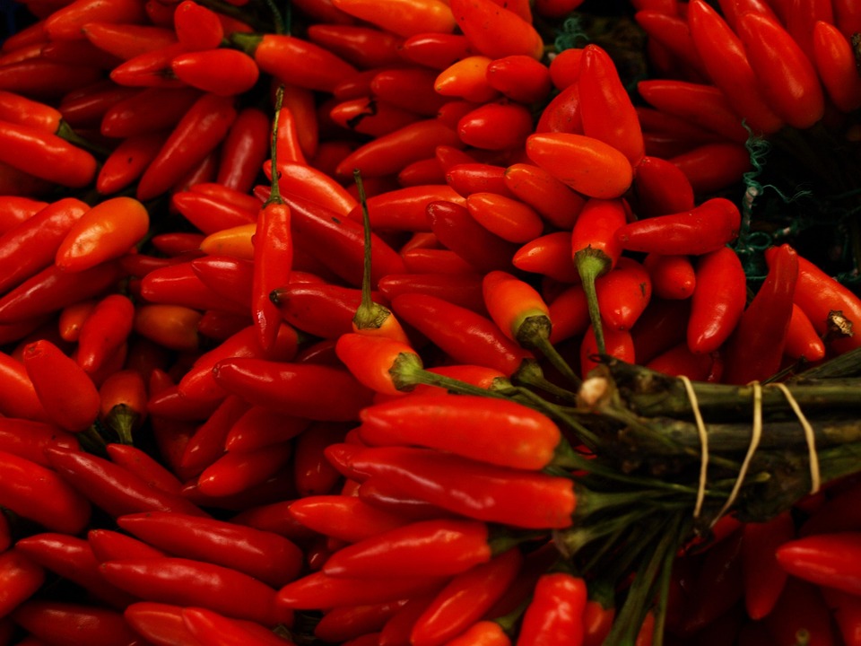 Farmers Local Market Hot Peppers - Free photo on Pixabay