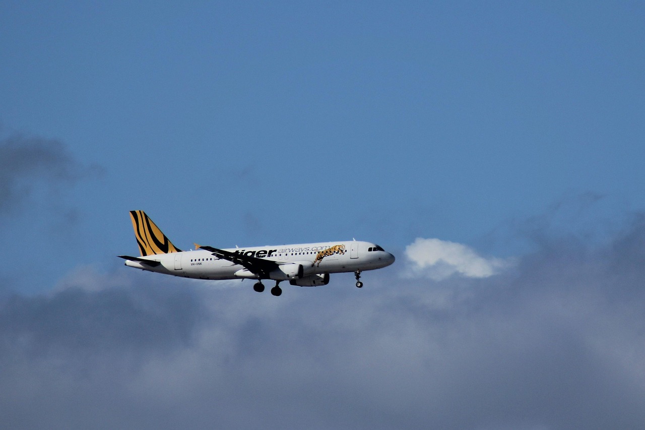 Tiger Air Landing - Free photo on Pixabay