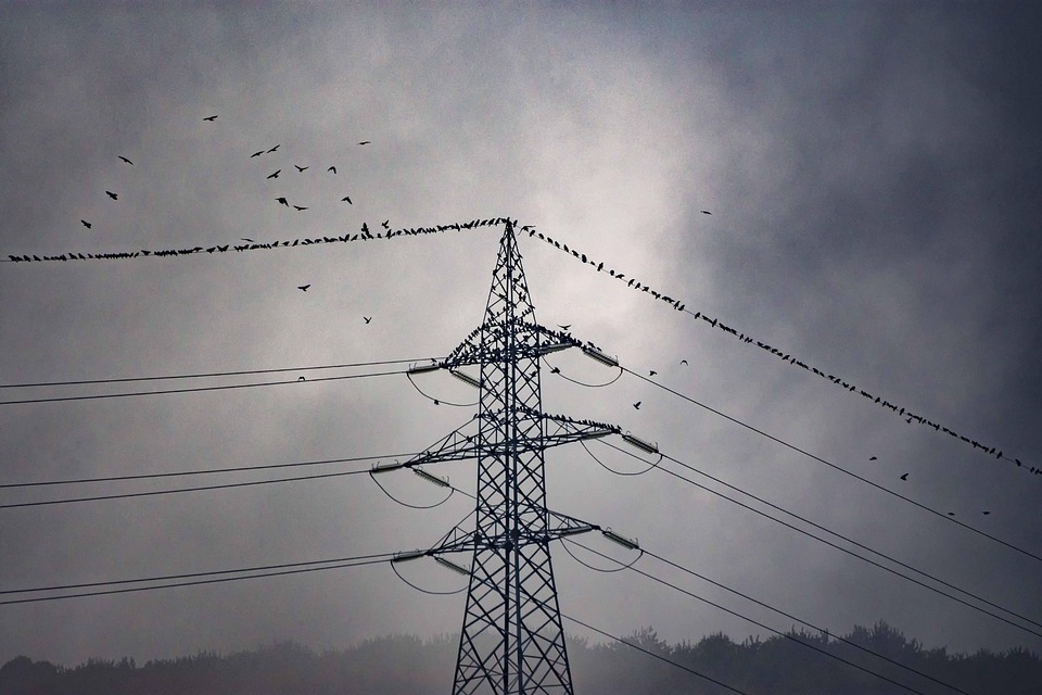 Birds Weather Clouds - Free photo on Pixabay
