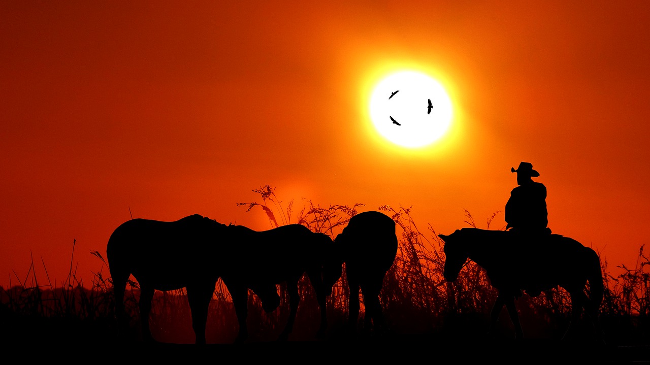 100+ Free Prairie Sunset & Prairie Images - Pixabay