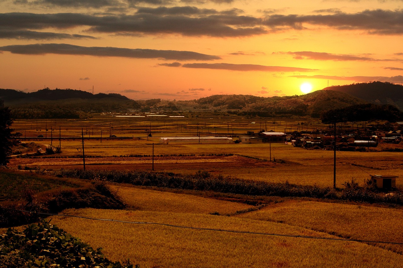 Rural Landscape Rice Paddies - Free photo on Pixabay