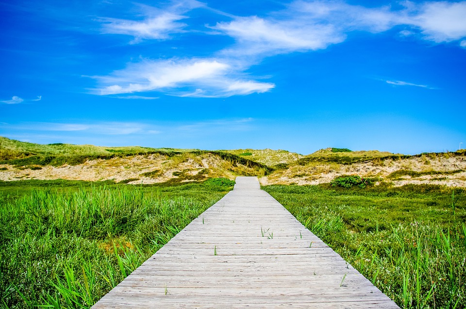 Web Boardwalk Sand Dunes - Free photo on Pixabay - Pixabay