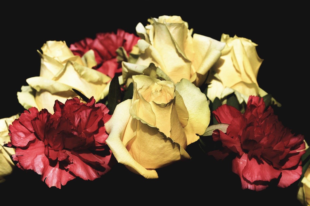 Rose Clove Bunch Of Flowers - Free photo on Pixabay - Pixabay