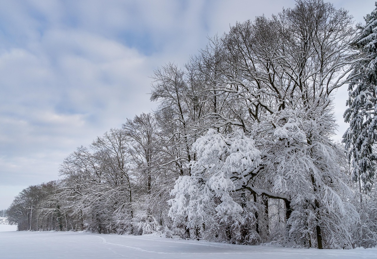 Inverno Panorama Neve - Foto gratuita no Pixabay - Pixabay