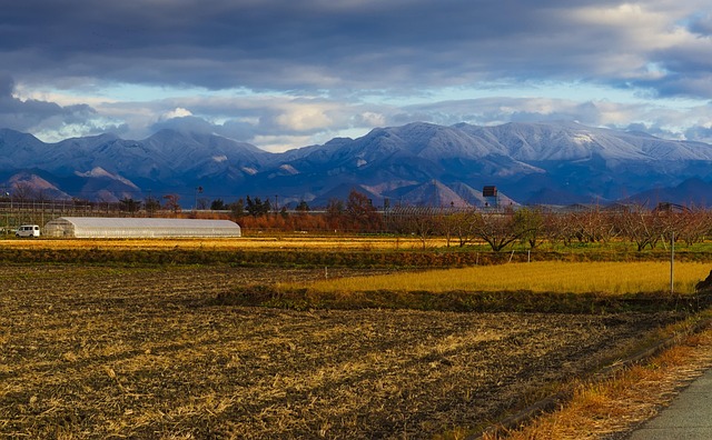 Berglandschaft Feld Berge - Kostenloses Foto auf Pixabay - Pixabay