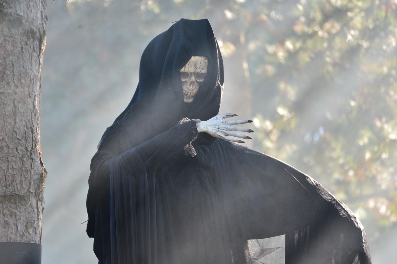 Halloween Skeleton Dead - Free photo on Pixabay - Pixabay