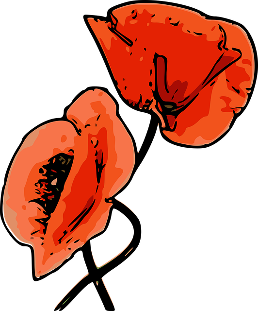 Free Poppy Vector Art - Download 58+ Poppy Icons & Graphics - Pixabay