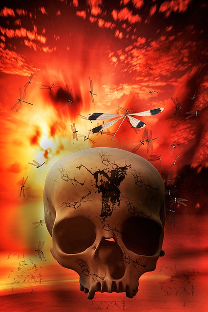 Skull Bone Scary - Free image on Pixabay