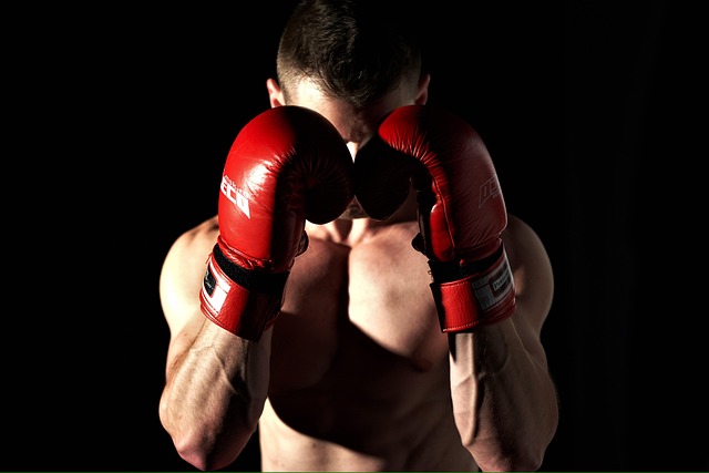 60+ Free Ufc & Boxing Images - Pixabay