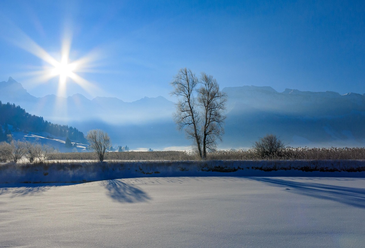 Winter Snow Nature - Free photo on Pixabay