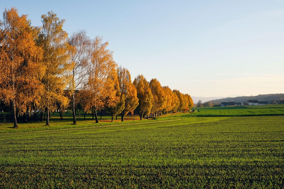 Nature Landscape Fall Autumn - Free photo on Pixabay