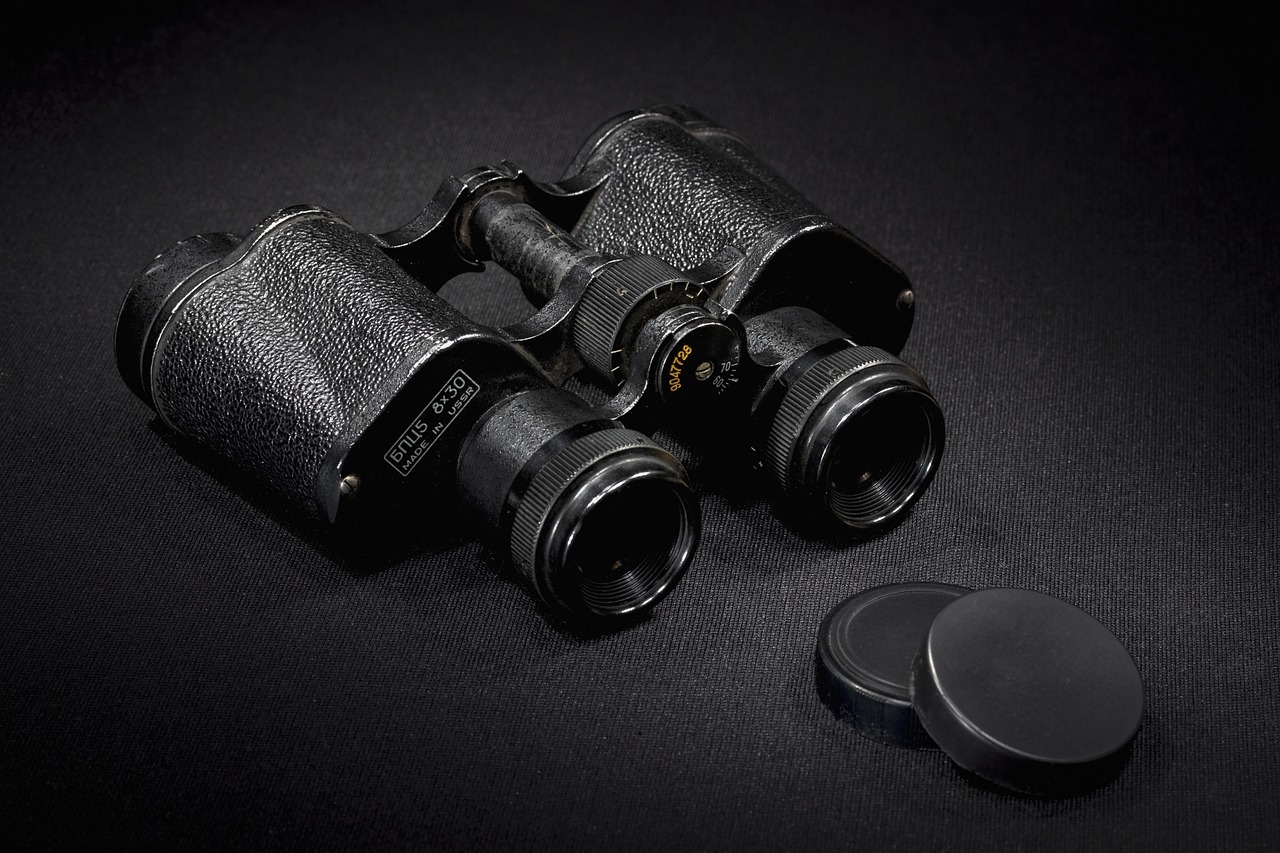 700 Free Spying And Spy Images Pixabay