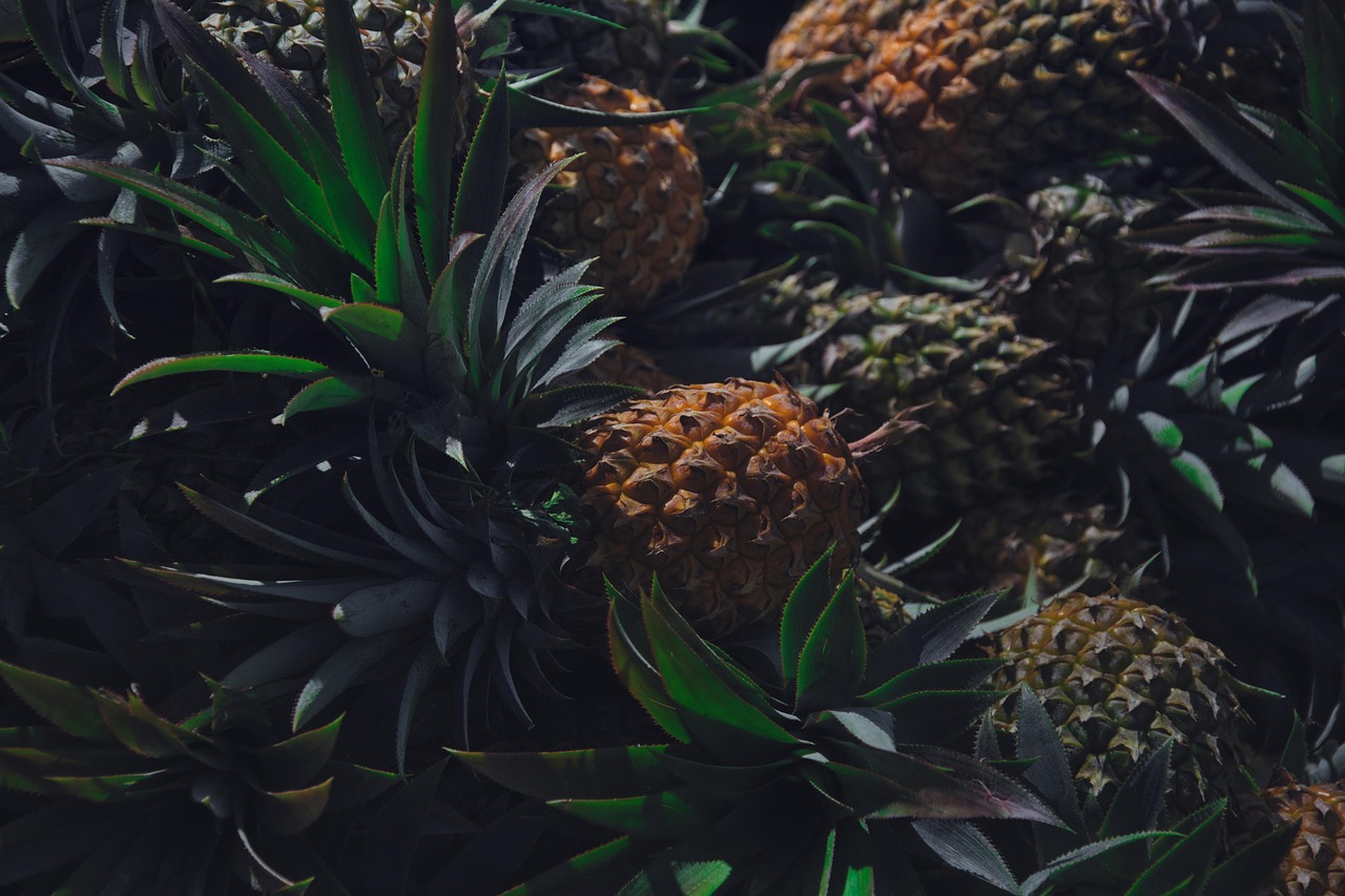 Ananas Afrique Les Couleurs - Photo gratuite sur Pixabay - Pixabay