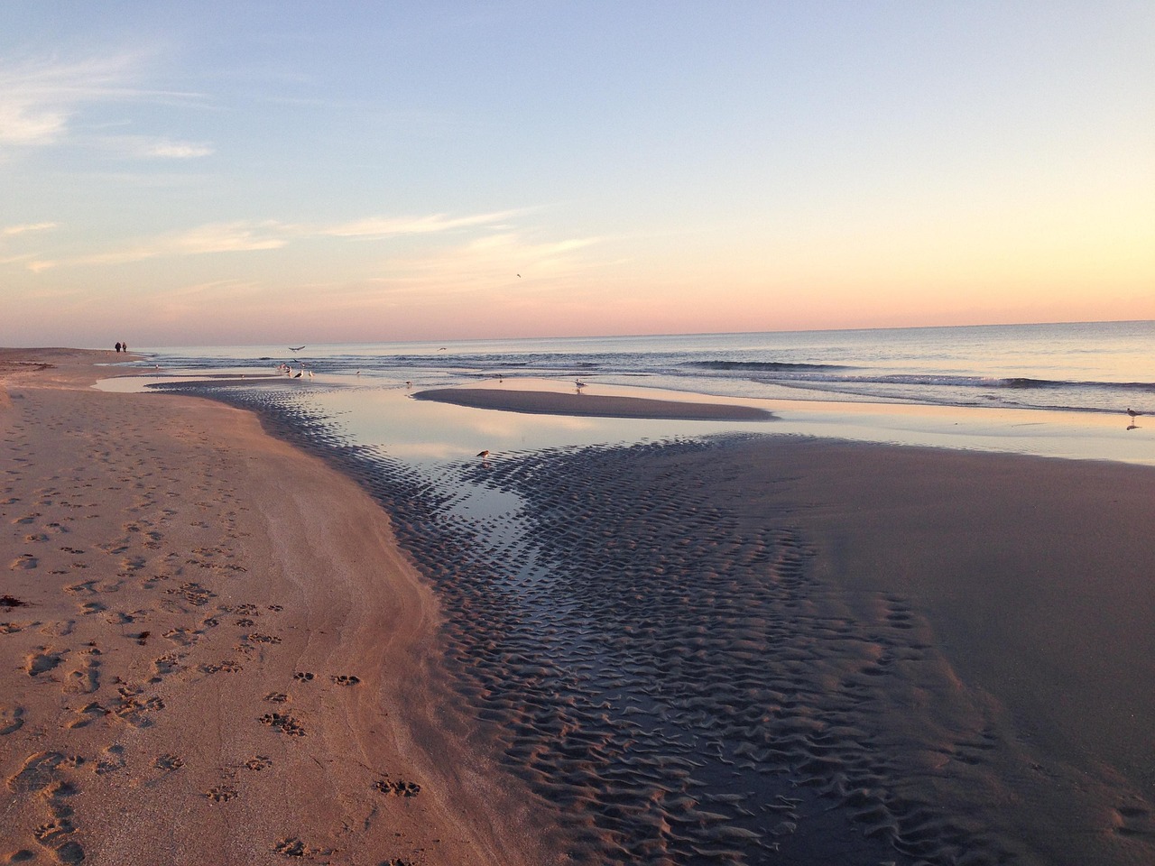 3+ Free Delray & Delray Beach Images - Pixabay