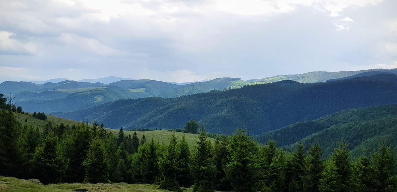 Mountain Heaven Forest - Free photo on Pixabay - Pixabay