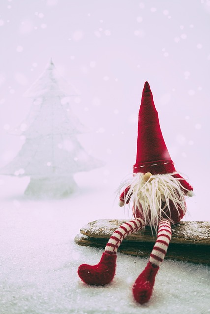 40.000+ kostenlose Weihnachts Wichtel und Wichtel-Bilder - Pixabay