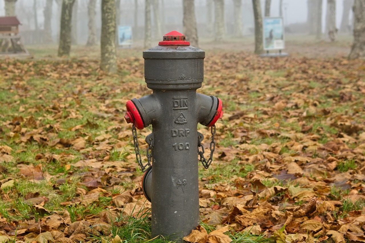 200,000+ Free Water Hydrant & Hydrant Images - Pixabay