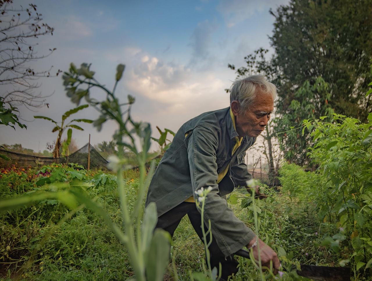 Farm Man Thai Farmer - Free photo on Pixabay