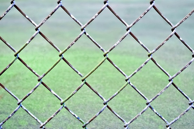 50,000+ Free Baseball Field Background & Baseball Images - Pixabay