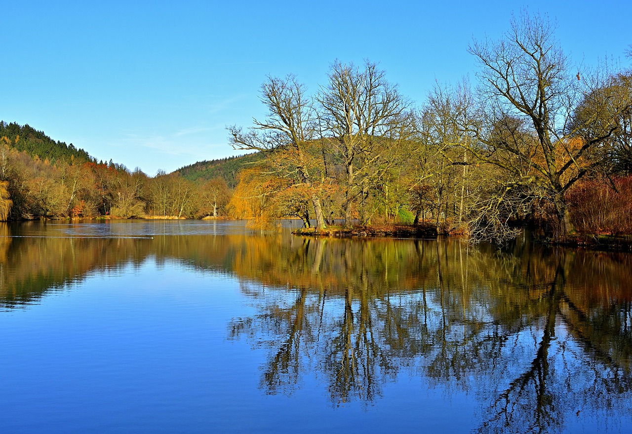 Park Lake Fall Landscape - Free photo on Pixabay - Pixabay