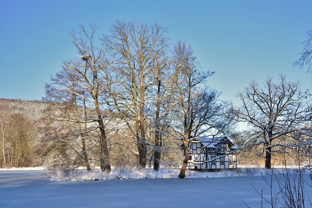 Winter Park Lake - Free photo on Pixabay - Pixabay