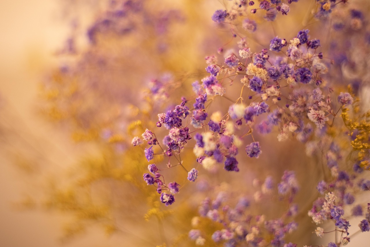 Flores Roxa Bloom - Foto gratuita no Pixabay - Pixabay