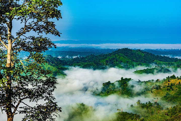 10+ Free Sajek & Bangladesh Images - Pixabay