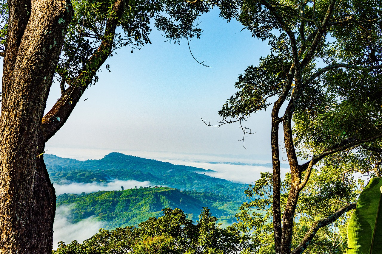 20+ Free Sajek & Sajek Valley Images - Pixabay