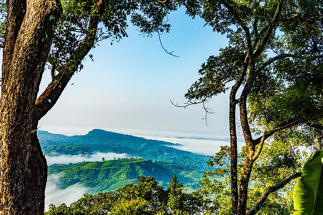 20+ Free Sajek & Sajek Valley Images - Pixabay