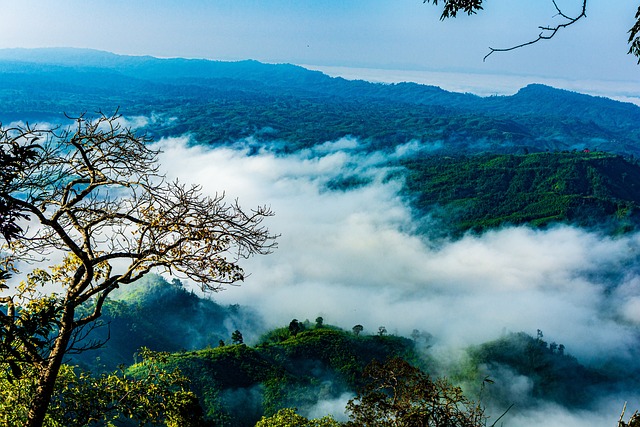 20+ Free Sajek & Sajek Valley Images - Pixabay