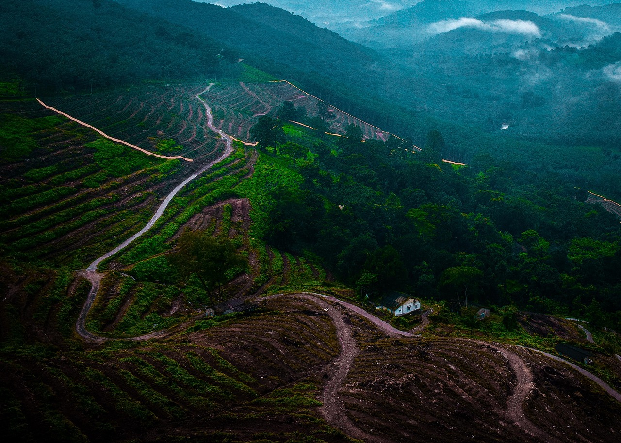 Idukki Kerala St - Free photo on Pixabay