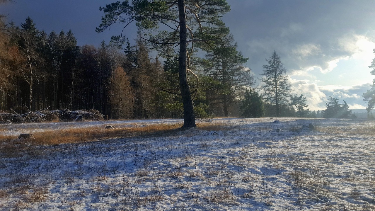 Winter Landscape Snow - Free photo on Pixabay