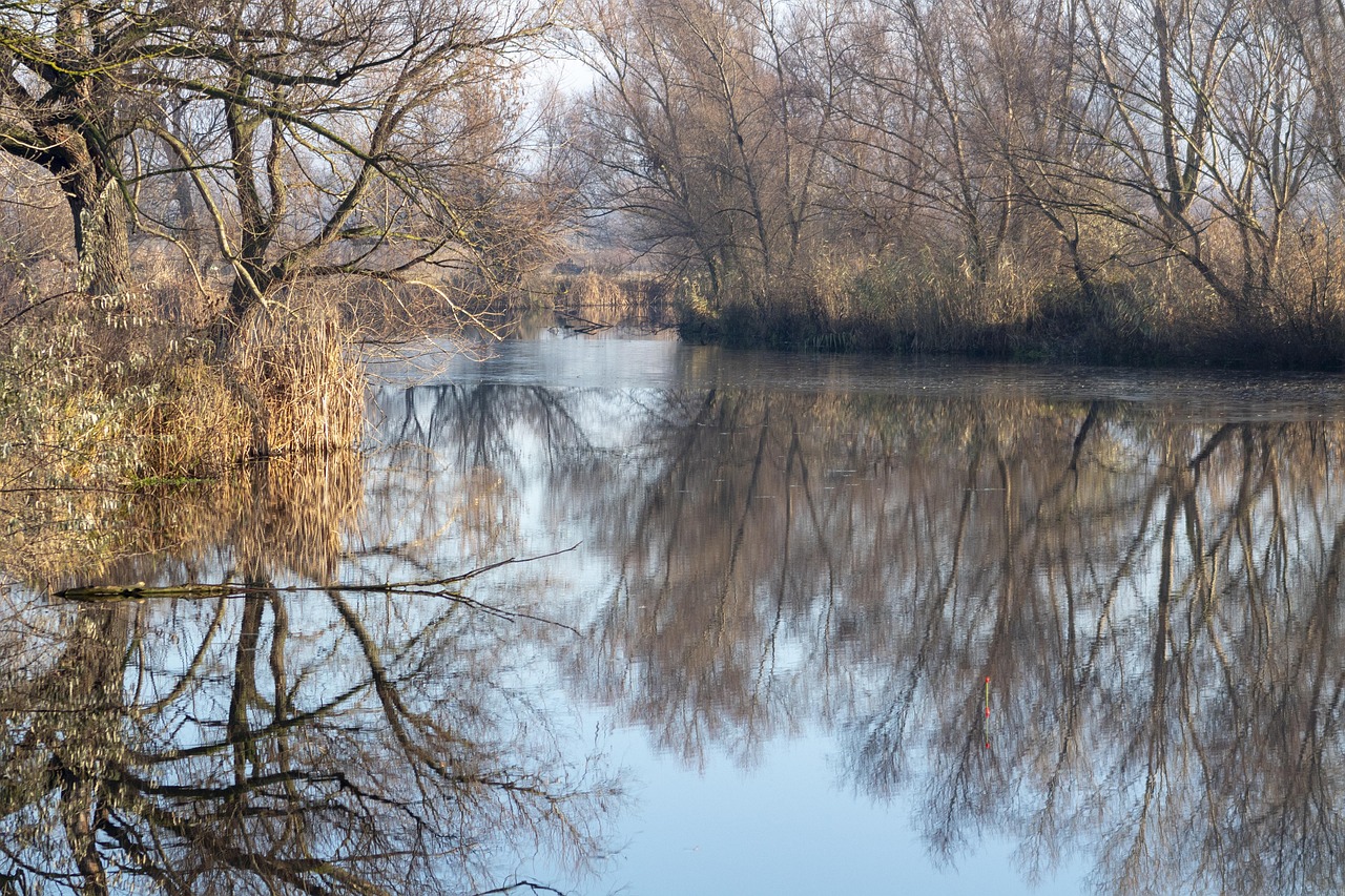 Paisaje Río Agua - Foto gratis en Pixabay - Pixabay