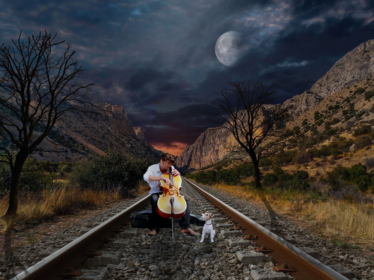 Más de 20 000 imágenes gratis de Cello Fantasy y Violonchelo - Pixabay