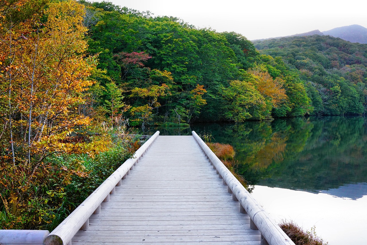 Japan Lake Bridge - Free photo on Pixabay - Pixabay