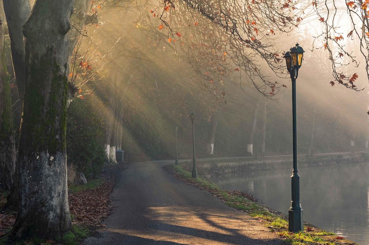 Rays Sun Nature - Free photo on Pixabay - Pixabay