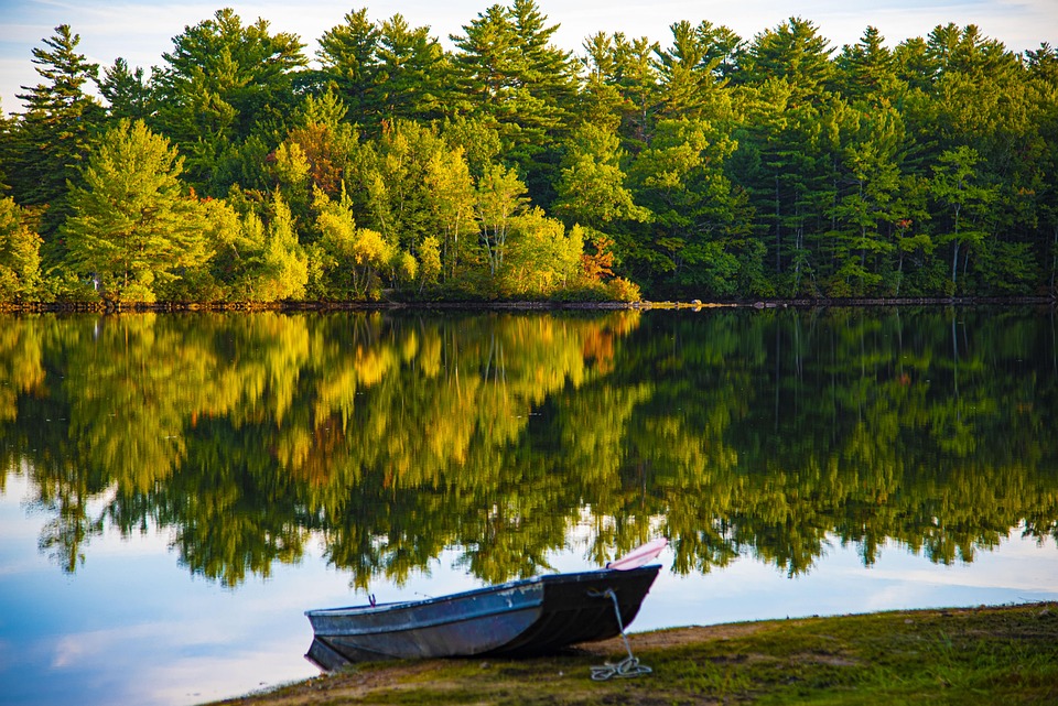 Reflection Water Nature - Free photo on Pixabay